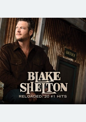 "Reloaded: 20 #1 Hits"