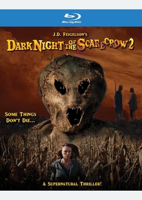 Dark Night of the Scarecrow 2